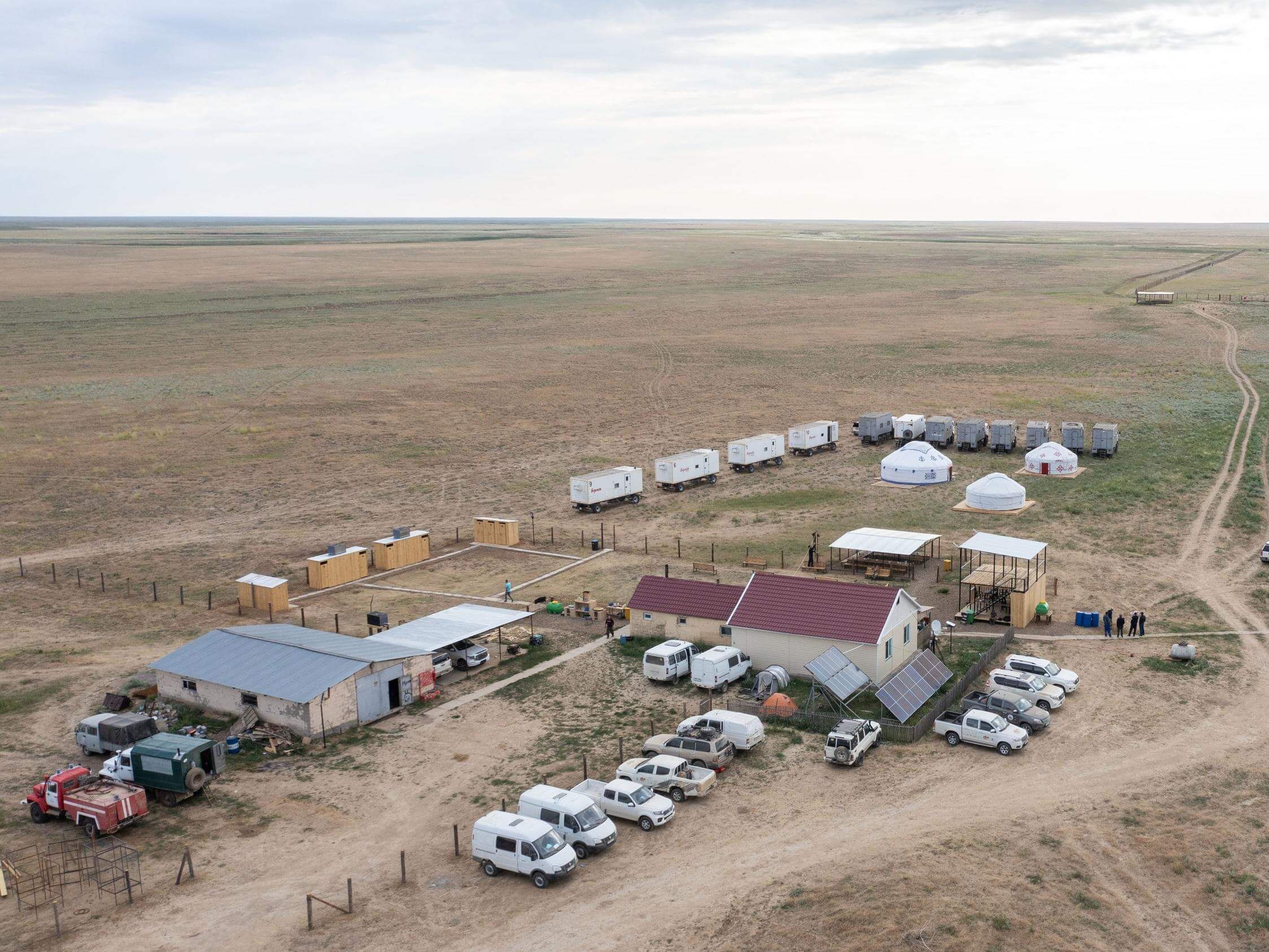 Wildpferde und Kulane nach Kasachstan